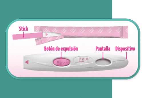 Evaplan digital – Eva Elea