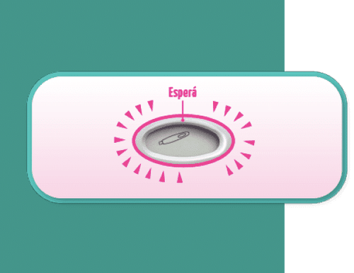 Evaplan digital – Eva Elea