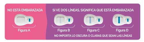 Evatest easy plus – Eva Elea